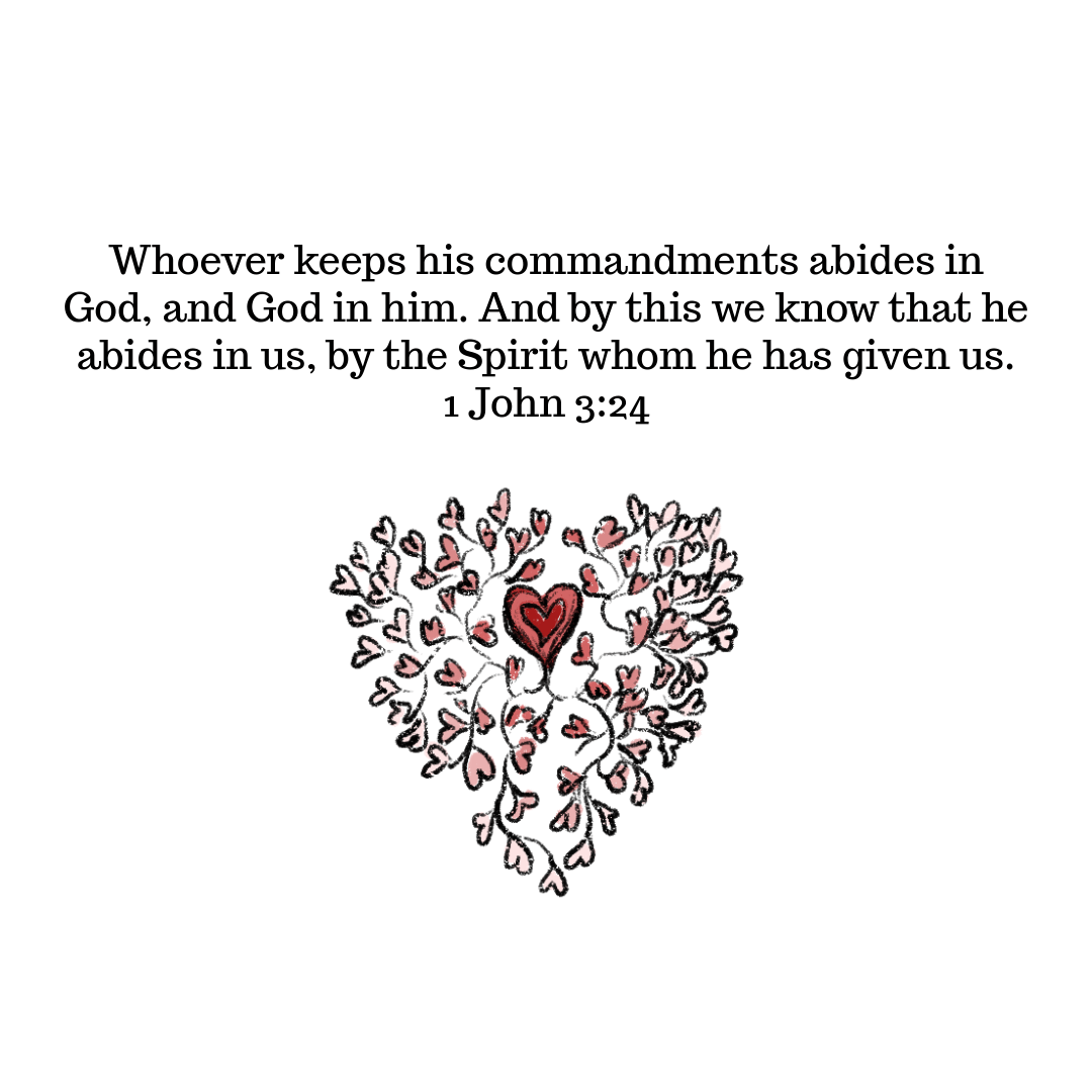 Five Promises as We Abide – The James Method